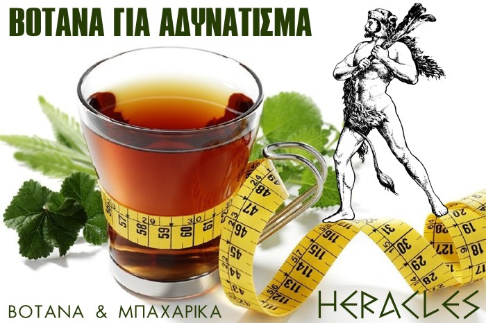 ΗΡΑΚΛΗΣ | ΒΟΤΑΝΑ & ΜΠΑΧΑΡΙΚΑ | HERACLES | HERBS & SPICES – Πληροφορίες ...